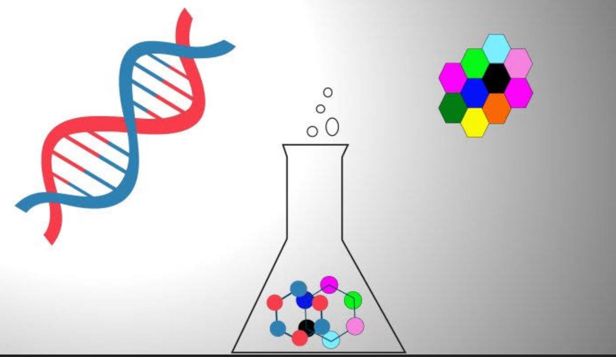 BP203T. BIOCHEMISTRY Notes - Depth of Biology